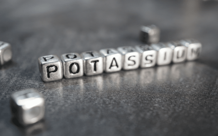 20 Best Foods for a Low-Potassium Diet