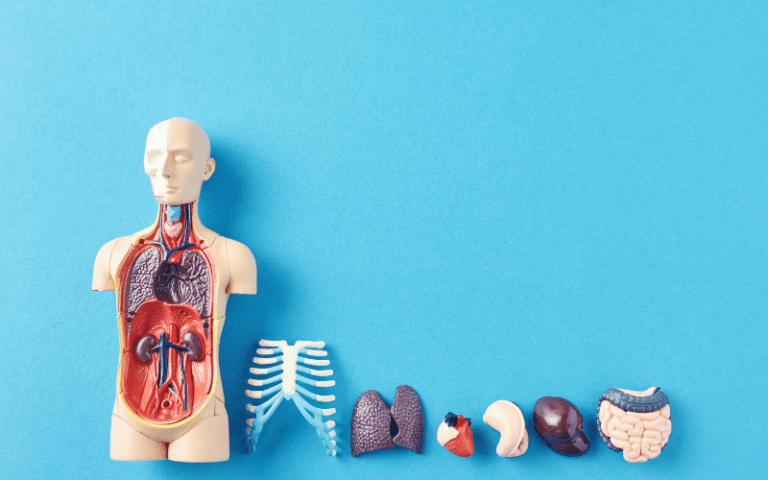 Understanding Multiple Organ Dysfunction Syndrome (MODS): A Closer Look ...