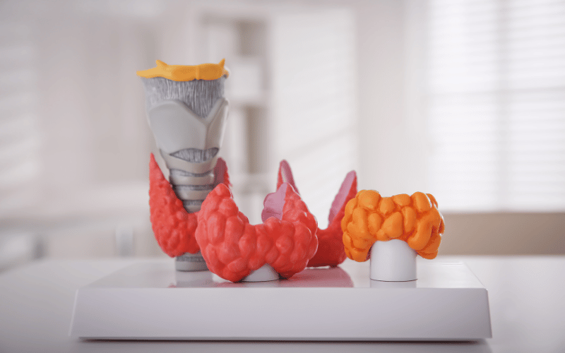 Understanding the Four Stages of Thyroid Cancer: A Detailed Exploration