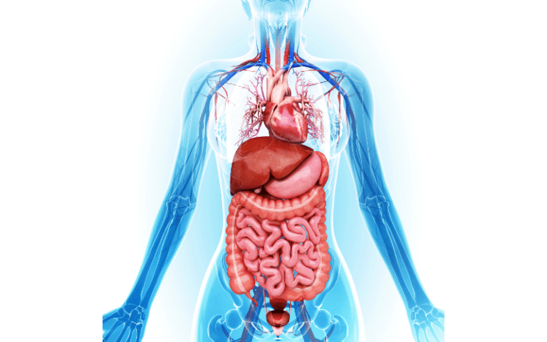 Multiple Organ Dysfunction Syndrome (MODS): A Breakdown of Its Top 10 ...