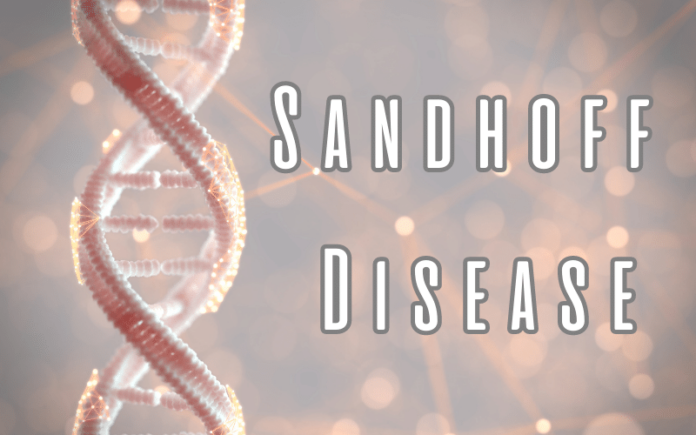 Shining a Light on Sandhoff Disease: Investigating Its 10 Key Symptoms