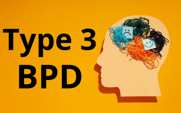 4 Types of Borderline Personality Disorder (BPD, Emotionally Unstable ...