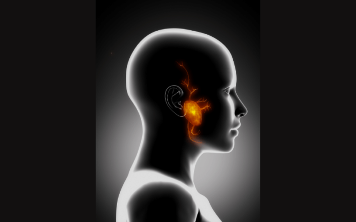 Parotitis Explained: 15 Facts to Wrap Your Head Around