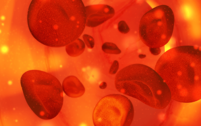 10 Signs of Blood in Stool (Hematochezia): What You Need to Know - Page ...