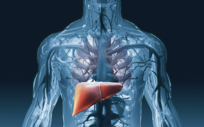 Congestive Hepatopathy: 10 Symptoms That Demand Attention