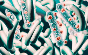 Bandemia Explained: Key Insights into Your Blood's Health Indicator