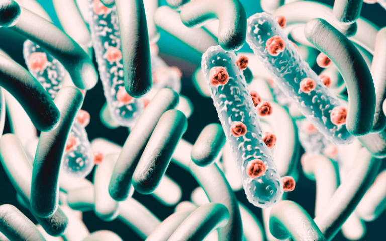 Bandemia Explained: Key Insights into Your Blood's Health Indicator