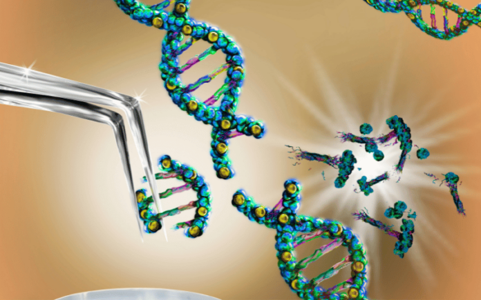 Understanding Severe Congenital Neutropenia: Vital Information